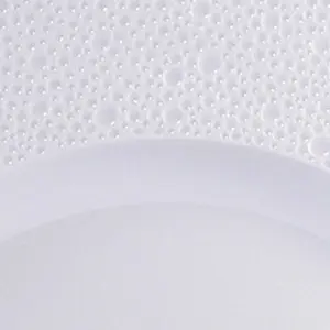 Bernardaud Ecume Service Plate