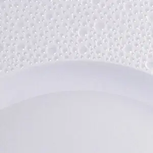 Bernardaud Ecume Service Plate