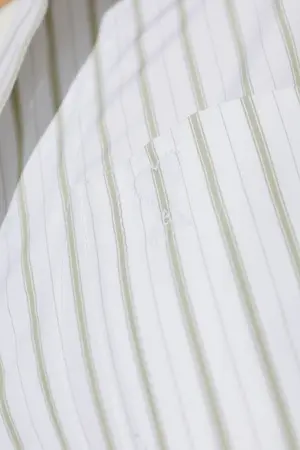 Ami Striped Shirt Dress