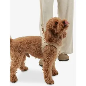 CAFIDE Vegan Leather Dog Harness