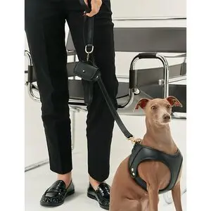 CAFIDE Jala Vegan-leather Dog Leash