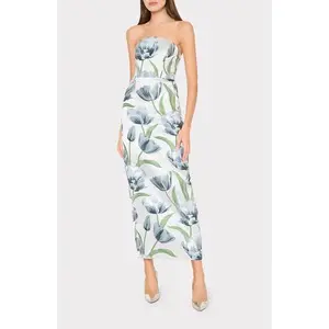 Milly Strapless Evening Dresses