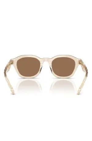 Tory Burch 48mm Phantos Sunglasses - Transparent Beige/brown