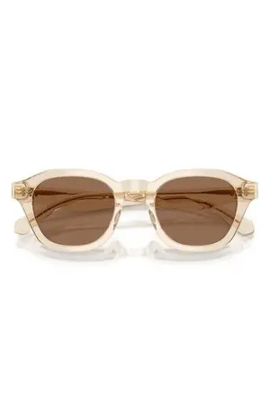 Tory Burch 48mm Phantos Sunglasses - Transparent Beige/brown