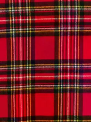 Barbour X Ganni Check Fringed Scarf