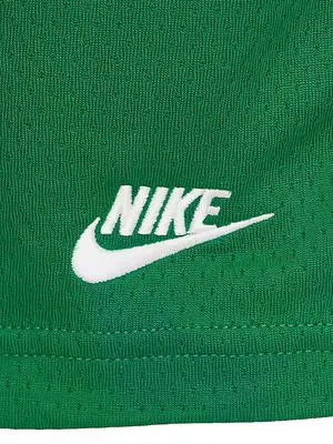 Nike Mesh Flow Shorts