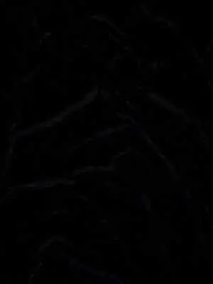 Balenciaga Velvet Maxi Skirt