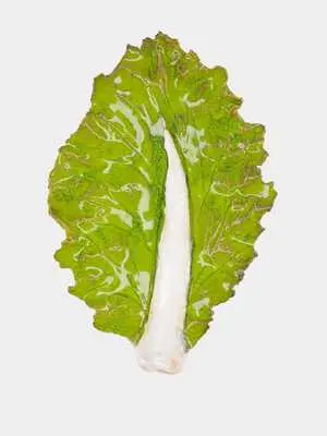 Studio Bongard Lettuce Leaf Sculpture - Green