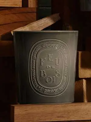 DIPTYQUE Feu De Bois Candle 1500gr - Grey