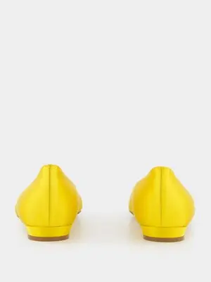 Manolo Blahnik Hangisiflat Ballerinas