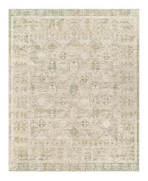 SURYA Once Upon A Time Oat-2302 Area Rug 8'10 X 11'10 - Brown