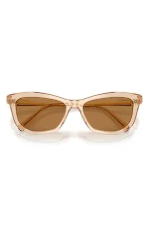 SWAROVSKI 56mm Cat-eye Sunglasses - Transparent Beige/bronze