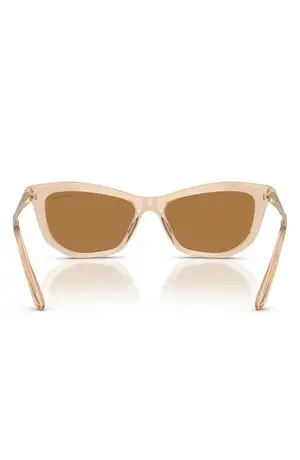 SWAROVSKI 56mm Cat-eye Sunglasses - Transparent Beige/bronze