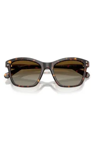 SWAROVSKI 54mm Gradient Polarized Square Sunglasses - Havana/polar Brown Gradient