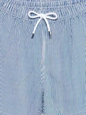 Fedeli Striped Swim Shorts - Blue