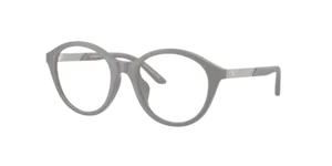 Emporio Armani Oval Eyewear For Women