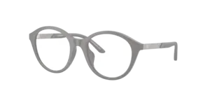 Emporio Armani EMPORIO ARMANI EK4005U Sunglasses Clear