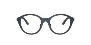 Emporio Armani Ek4005u Sunglasses - Clear