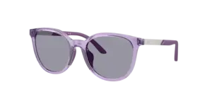 Emporio Armani Unisex Sunglasses Blue