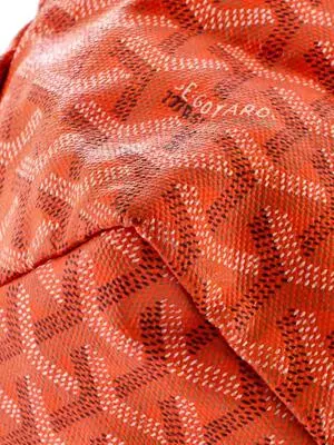 Goyard Saint Louis Coated Canvas Pm Tote Bag - Orange
