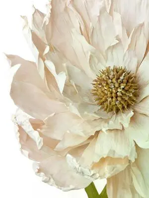 L'OCA NERA Dahlia Decorative Flower
