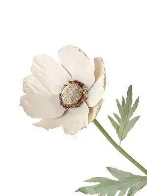 L'OCA NERA Decorative Daisy Flower