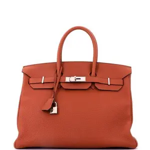 Hermès Birkin Handbag Togo With Palladium Hardware - Brown