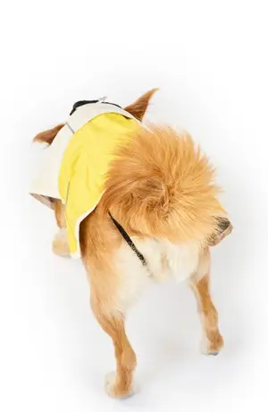 THE FURRYFOLKS Venture Pet Rain Jacket - Yellow