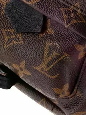 LOUIS VUITTON Palm Springs Mini Backpack Monogram Canvas