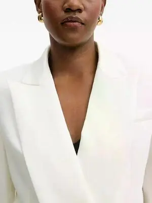 Pinko Double-breasted Blazer With Lapel Collar