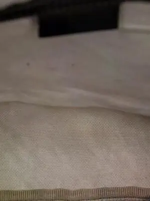 Gucci Gg Supreme Crossbody Bag