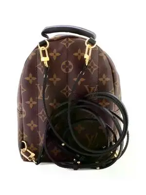 LOUIS VUITTON Palm Springs Monogram Canvas Mini Backpack - Brown