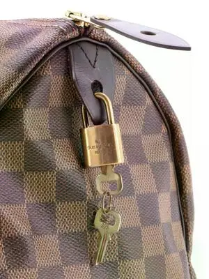 LOUIS VUITTON Speedy Handbag Damier 25 Satchel - Brown