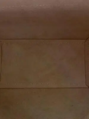 Celine 2019 Nano Grained Calfskin Belt Bag - Gold