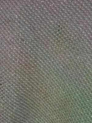 Peserico Crew-neck Embellished Sweater