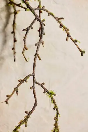 TERRAIN Faux Mossy Tendril Spray