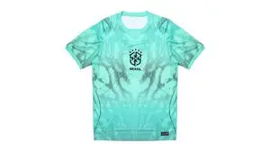 Nike Air Jordan X Cbf Brazil Dri-fit Stadium Goalkeeper Jersey