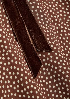 REFORMATION Kaylia Polka-dot Appliquéd Chiffon Mini Dress - Brown