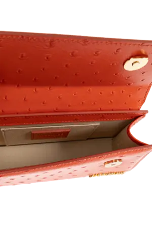 Jacquemus Le Chiquito Long Bag - Orange