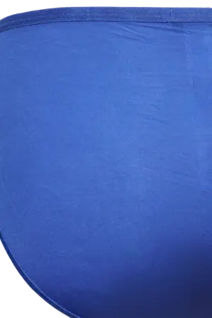 HOM Plume Collection Briefs - Blue
