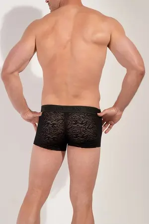 HOM Lace Boxers From The "temptation" Collection