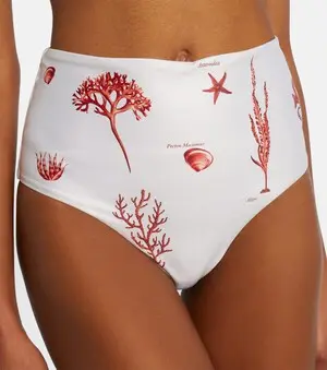 Agua Bendita Magdalena Printed Bikini Bottoms - White