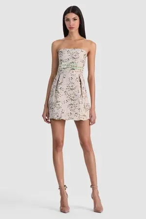 Alice + Olivia Strapless Embroidered Jacquard Babydoll Dress