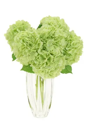 MARK ROBERTS Vibrant Hydrangea Natural Touch - Light Green