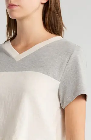 RE/DONE Contrast V-neck Crop T-shirt - Htgvinwhit