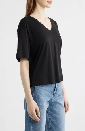 Eileen Fisher V-neck Organic Cotton T-shirt