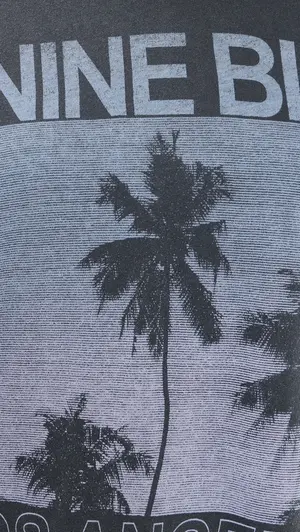 ANINE BING Cade Palms Tee - Washed Grey