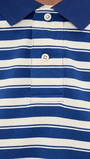 Denimist Shrunken Polo - Blue Stripe Multi