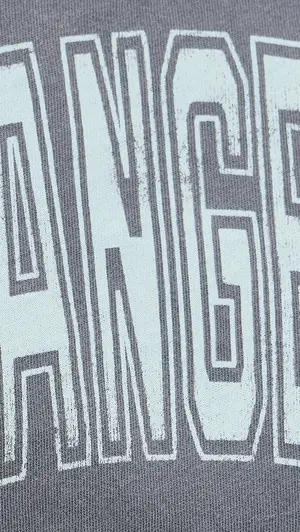 ANINE BING Johnny Cropped Tee - Washed Grey