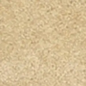 Isabel Marant Étoile Suede Beth Logo Sneakers - Beige